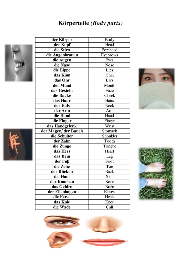 Körperteile (Body parts) - German Learning