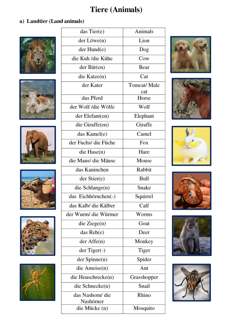 Tiere (Animals) - German Learning