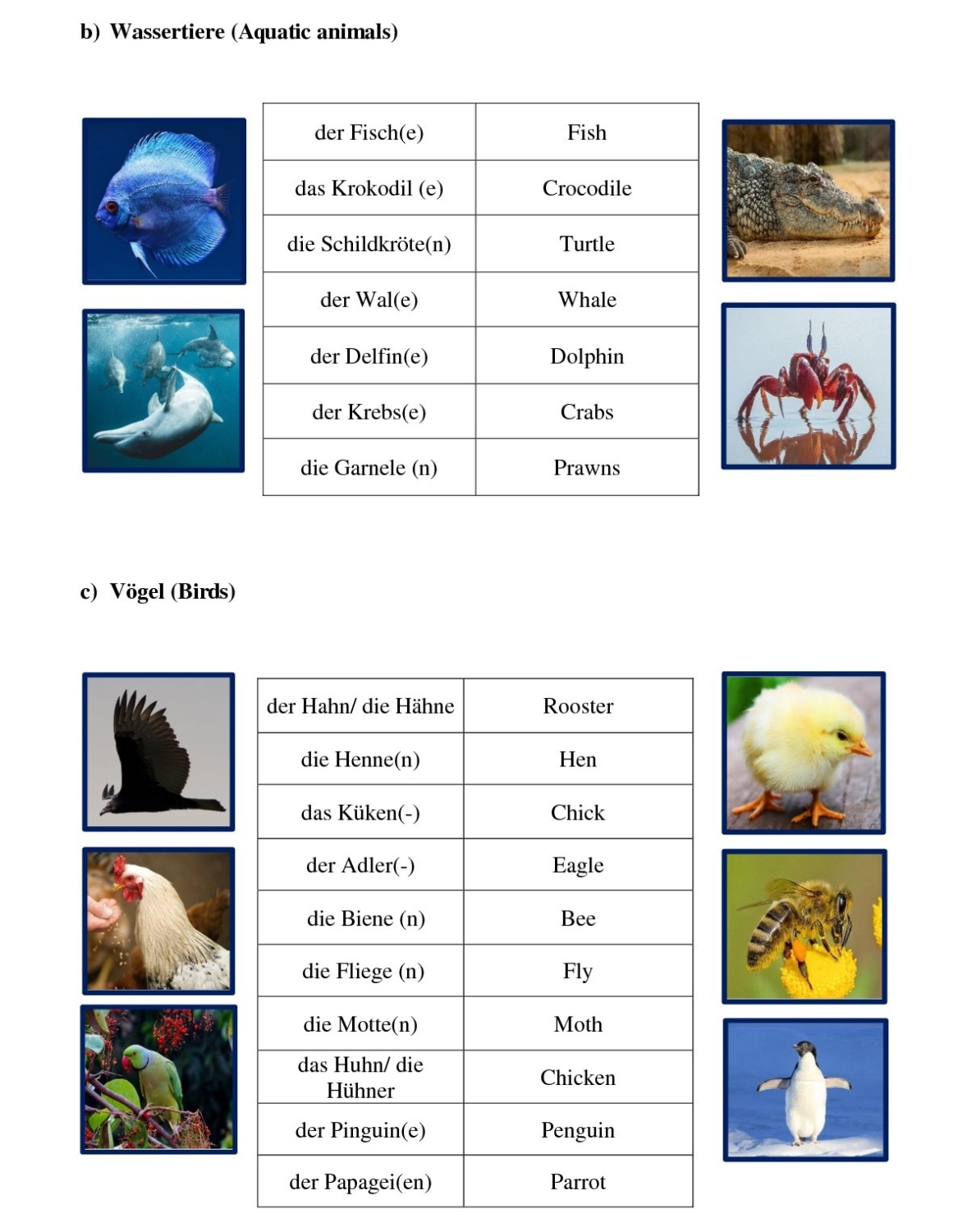 Tiere (Animals) - German Learning